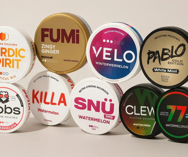 Top Nicotine Pouches for 2025 – Best Brands, Flavours & Strengths ...