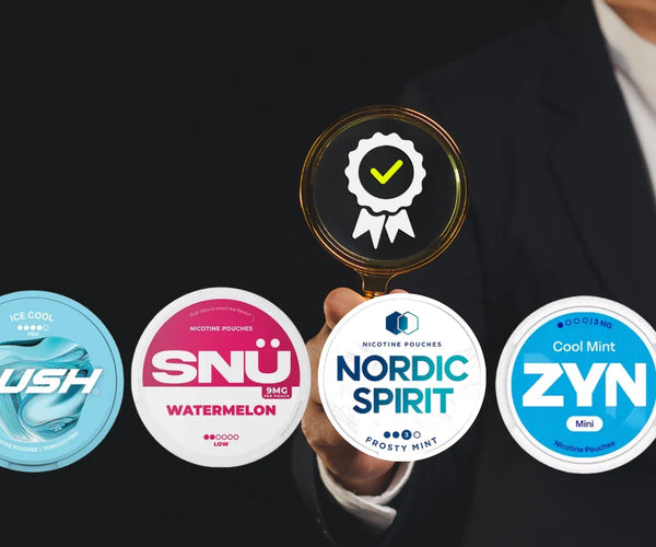 Best Value Nicotine Pouches 2025: Price-Per-Pouch Comparison – Pouch ...